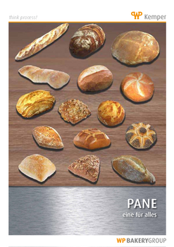 Product-Flyer | WP Kemper